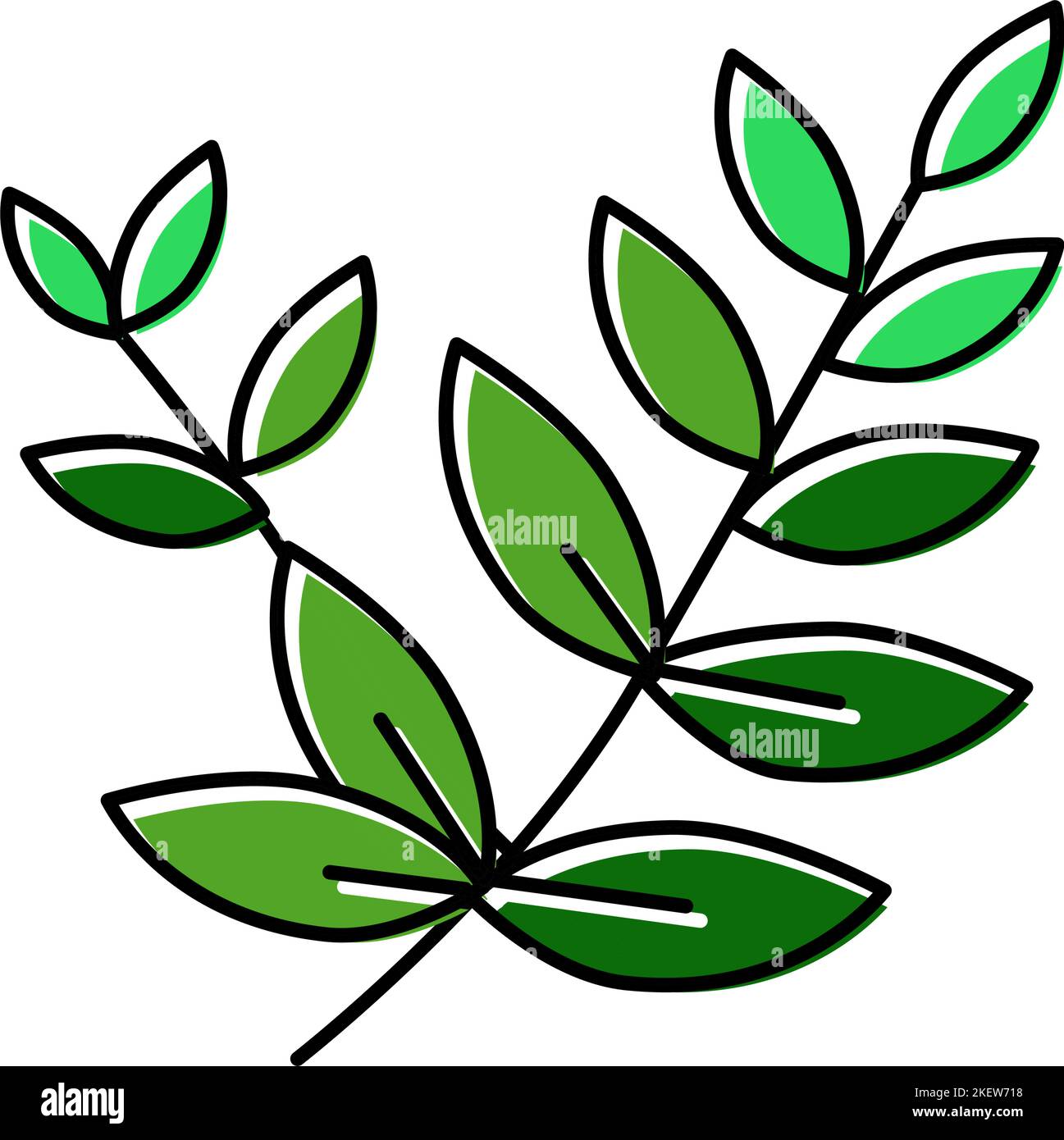 leaf spring color icon vector illustration Stock Vector Image & Art - Alamy