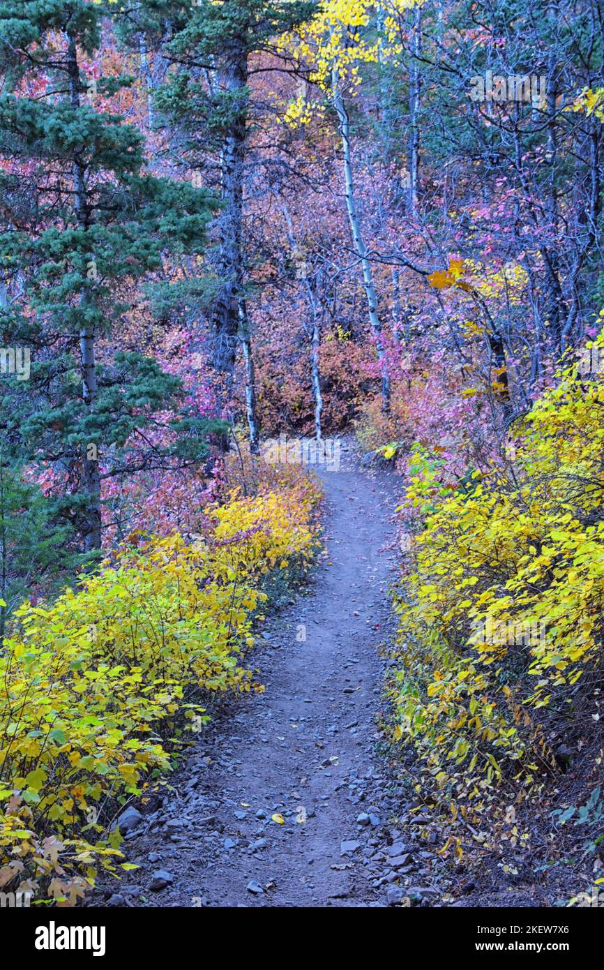 Pine Hollow hiking trail Mountain views by Timpanogos in the Wasatch ...