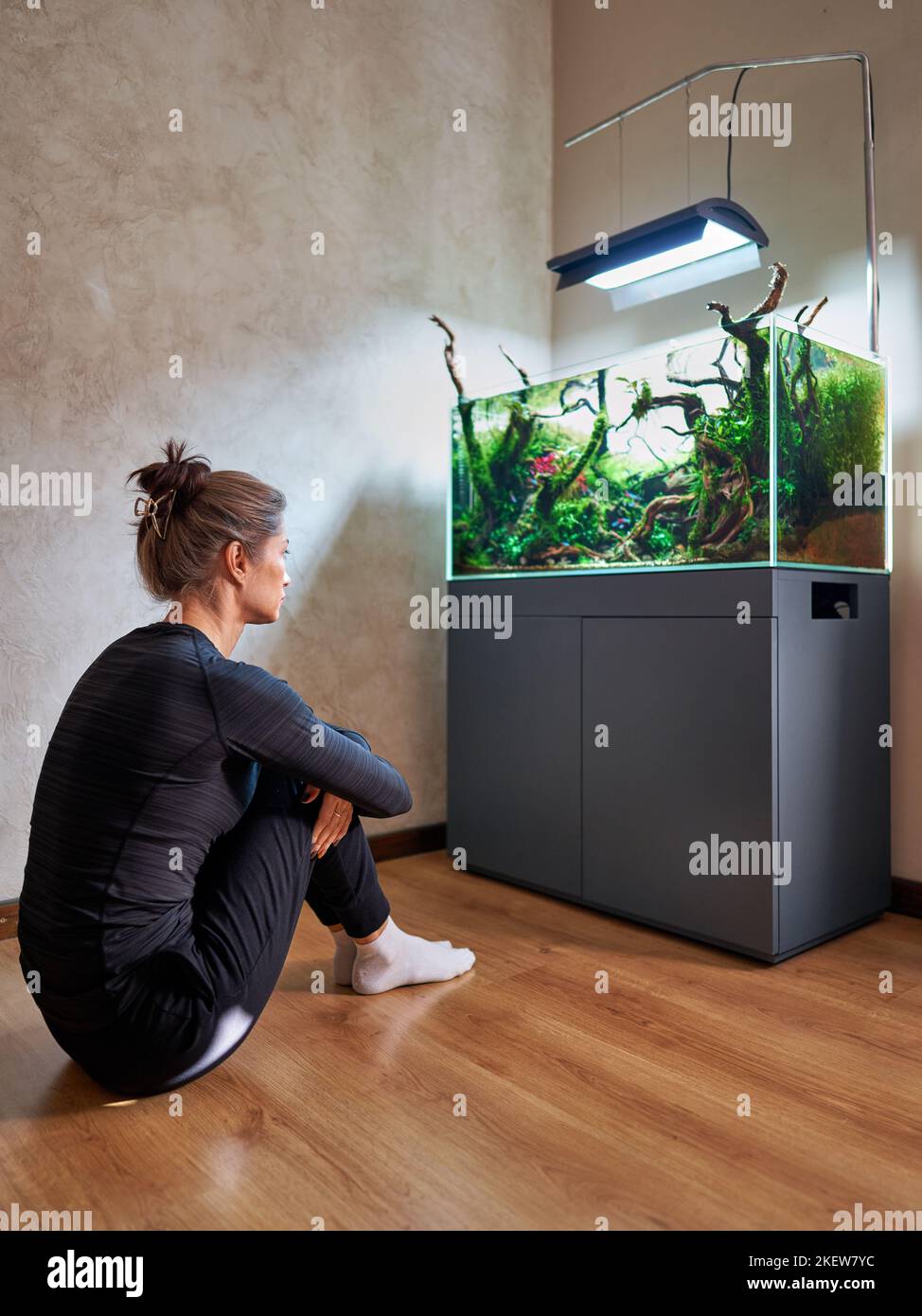 Beautiful woman sitting on the floor in front of the aquarium aquascape ...