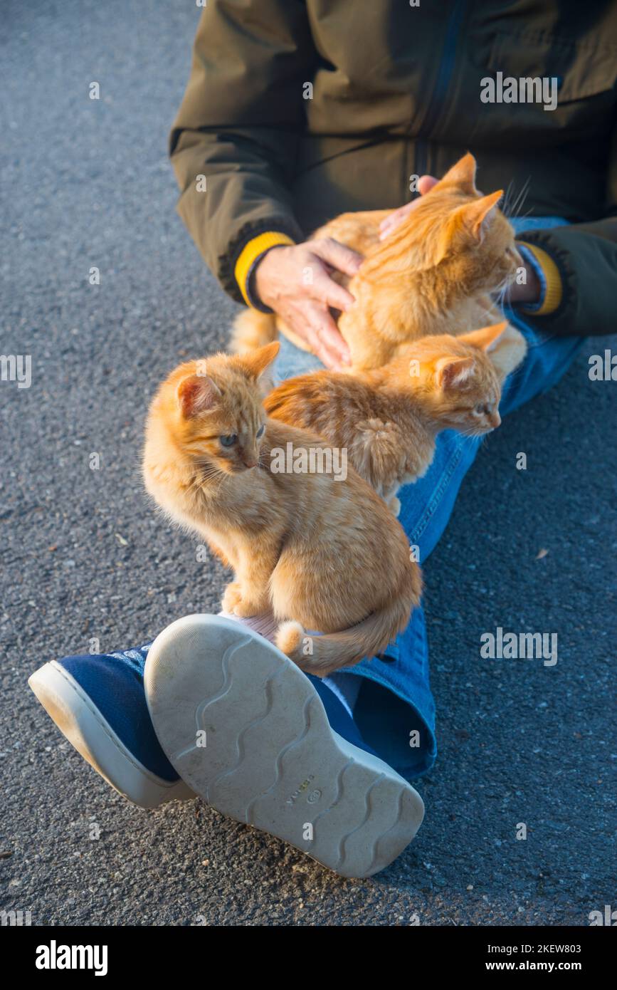 Amor por los animales hi-res stock photography and images - Alamy