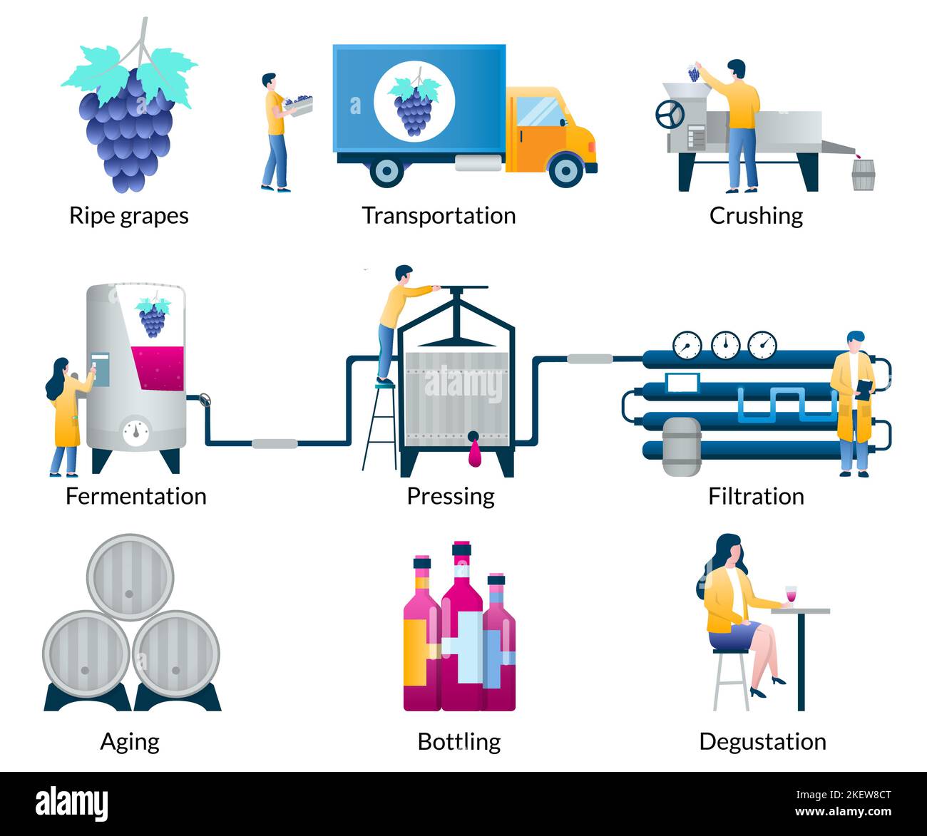 Wine making process stages set, vector illustration isolated on white ... Wine making process stages set, vector illustration isolated on white ...