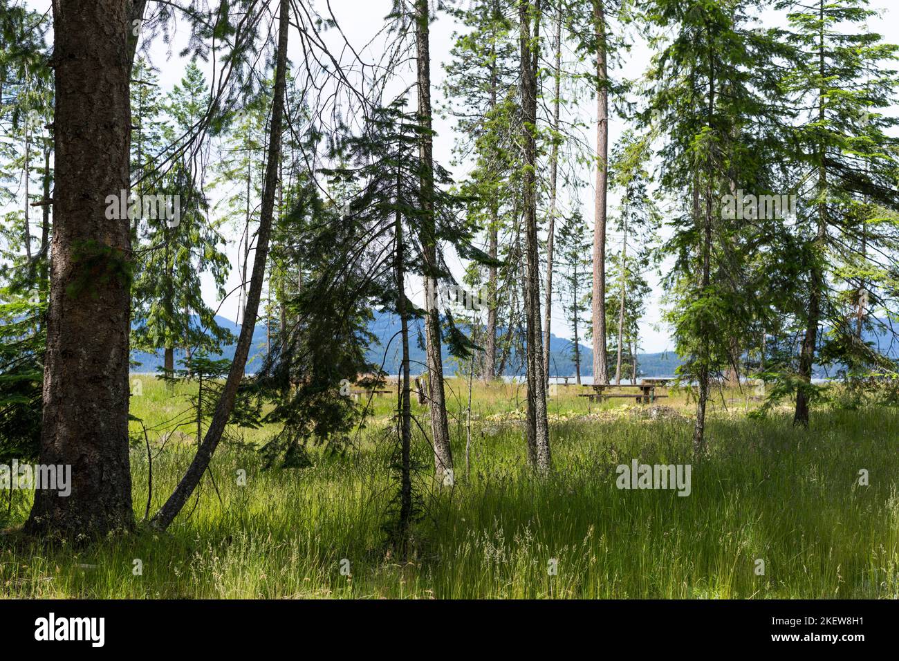 Lake Pend Oreille near Hope, Idaho is a Gem state treasure that ...