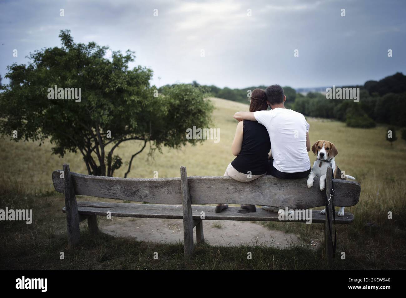 Beagle snuggle hi-res stock photography and images - Alamy