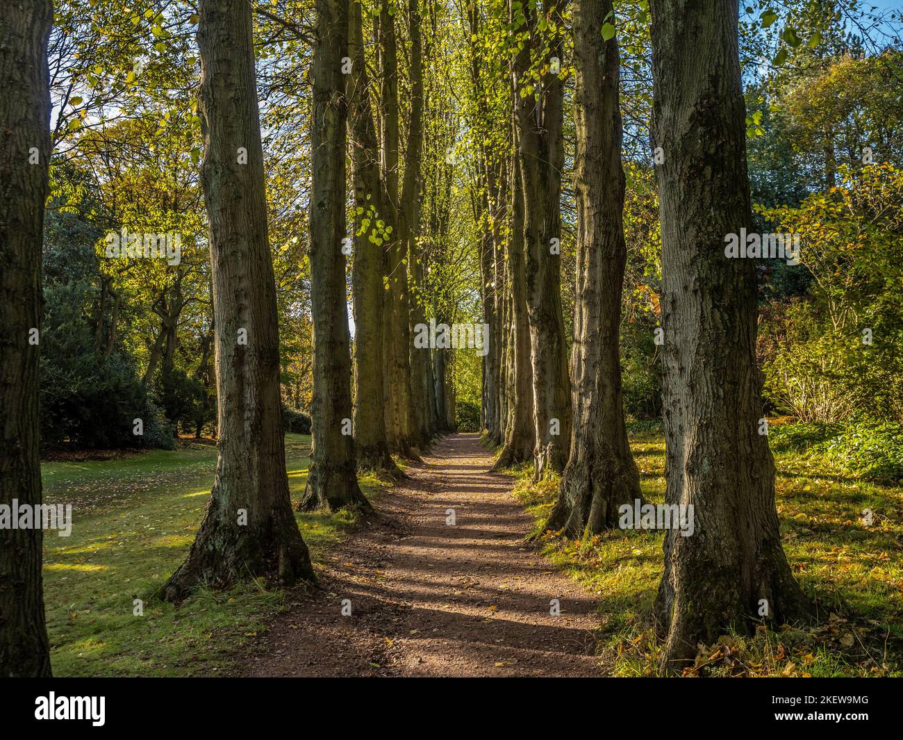 Lady lucys walk hi-res stock photography and images - Alamy