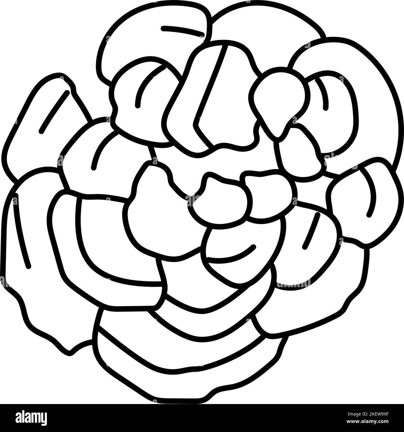 turkey tail mushroom line icon vector illustration Stock Vector Image ...