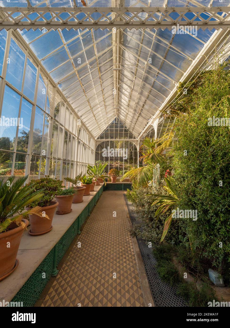 Plants growing in terracotta pots inside the restored Victorian ...