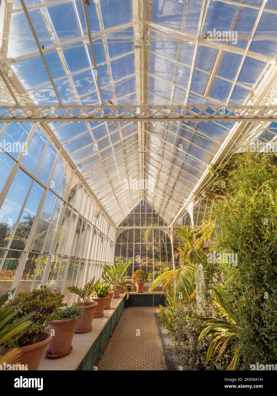 Plants growing in terracotta pots inside the restored Victorian ...