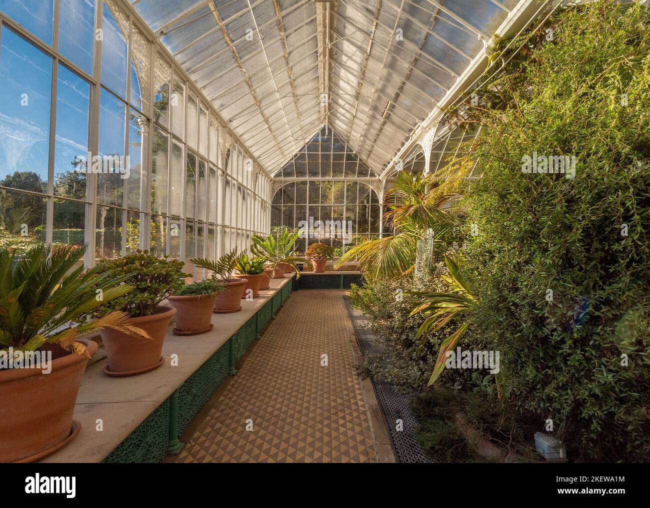 Plants growing in terracotta pots inside the restored Victorian ...