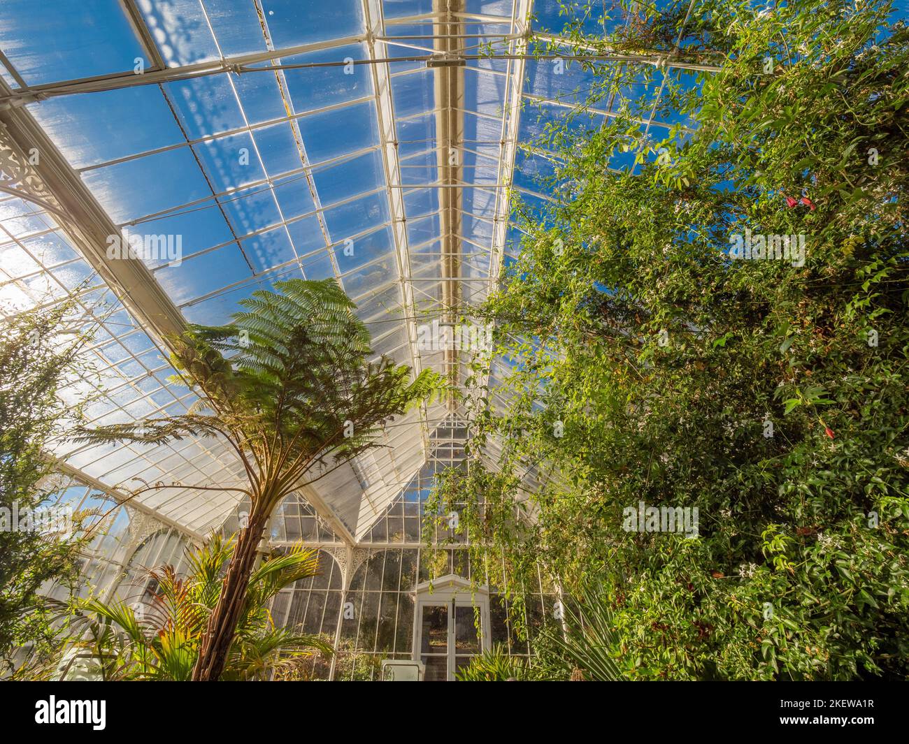 Victorian conservatory hi-res stock photography and images - Alamy