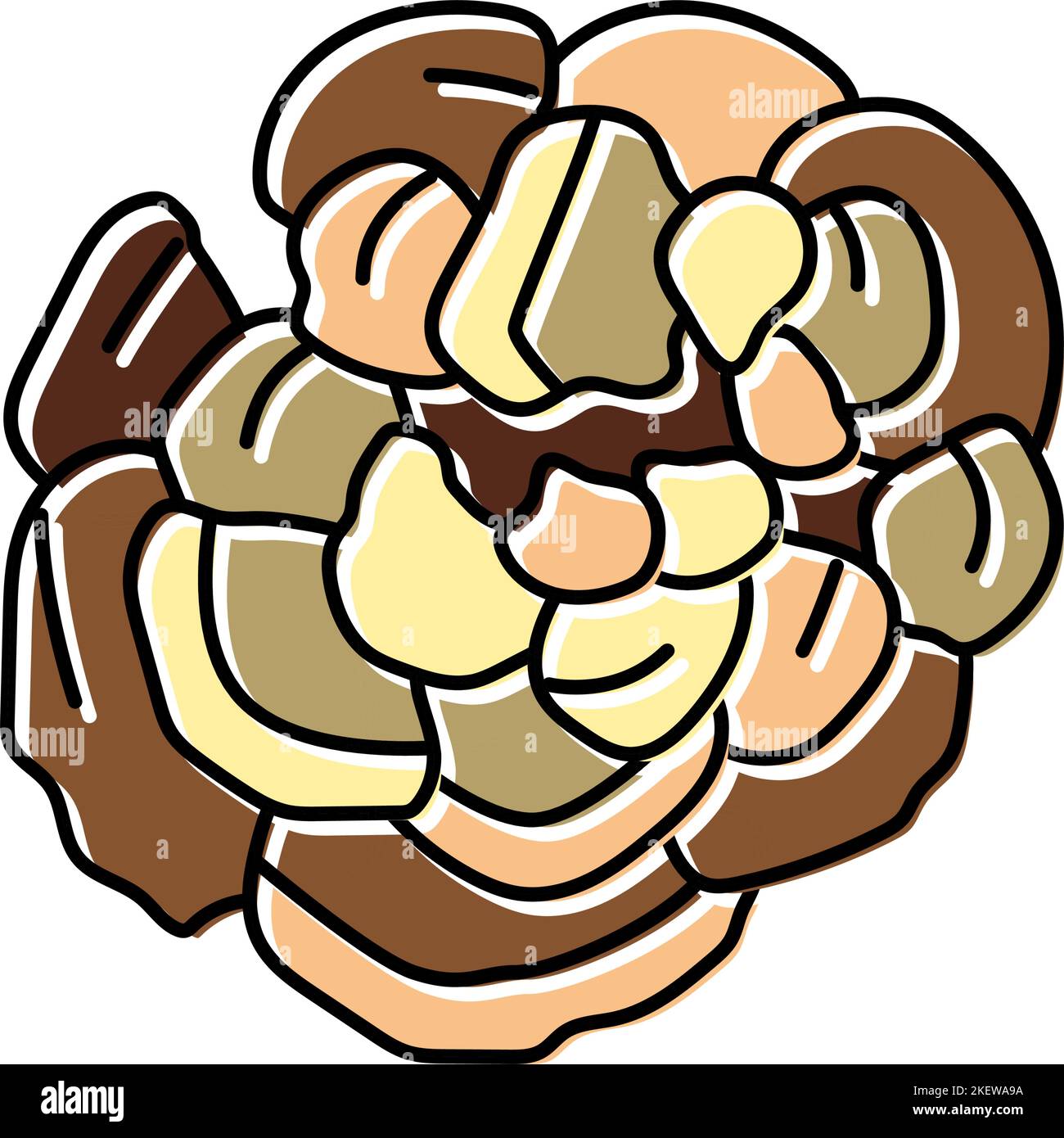 turkey tail mushroom color icon vector illustration Stock Vector Image ...