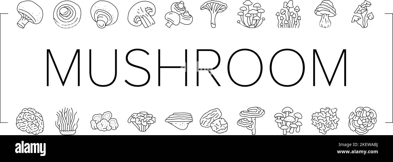 mushroom food forest fungi icons set vector Stock Vector Image & Art ...