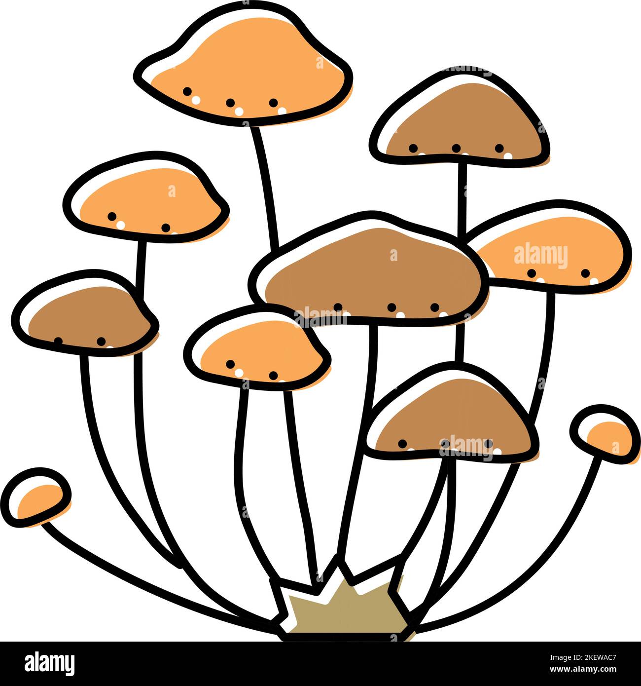 psychedelic natural mushroom color icon vector illustration Stock ...