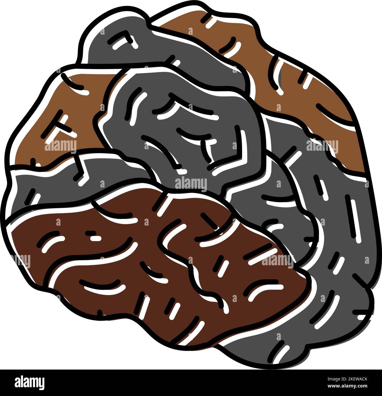 Chaga fungi Stock Vector Images - Alamy