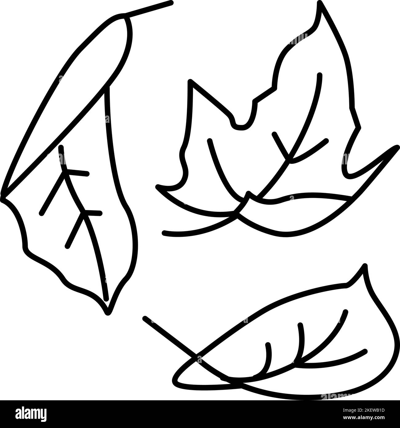 Fall Leaf Autumn Line Icon Vector Illustration Stock Vector Image And Art Alamy