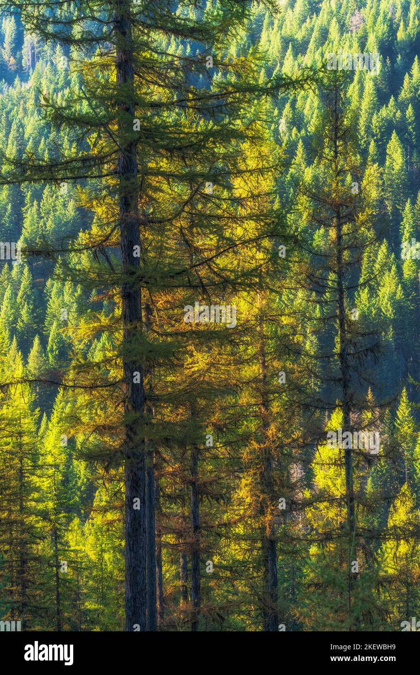 Mullan hi-res stock photography and images - Alamy