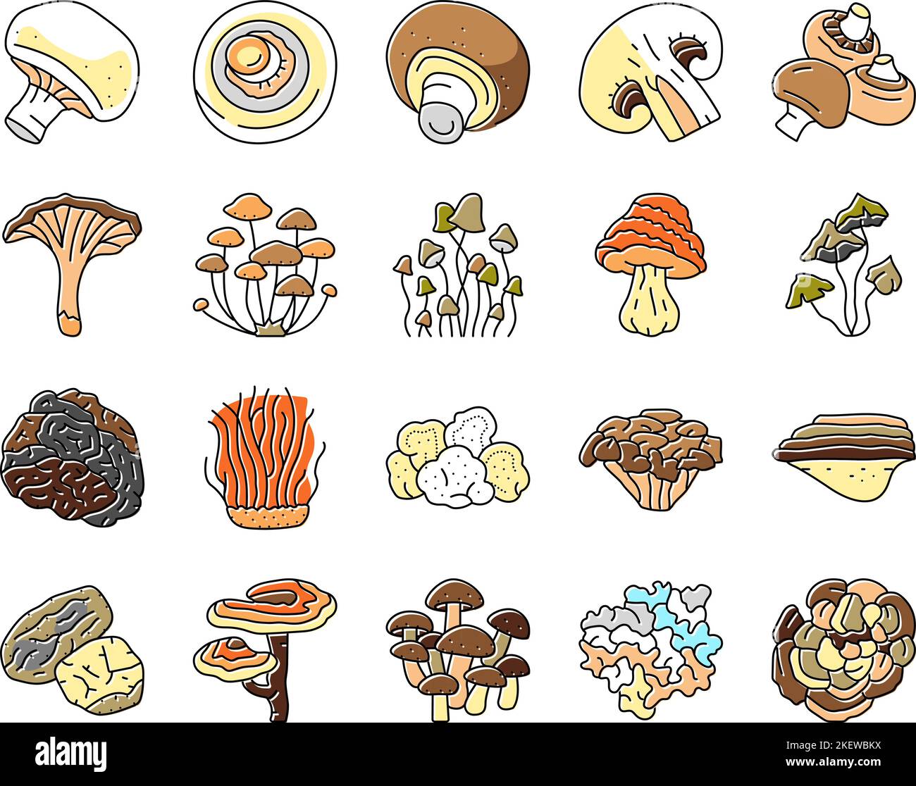 mushroom food forest fungi icons set vector Stock Vector Image & Art ...