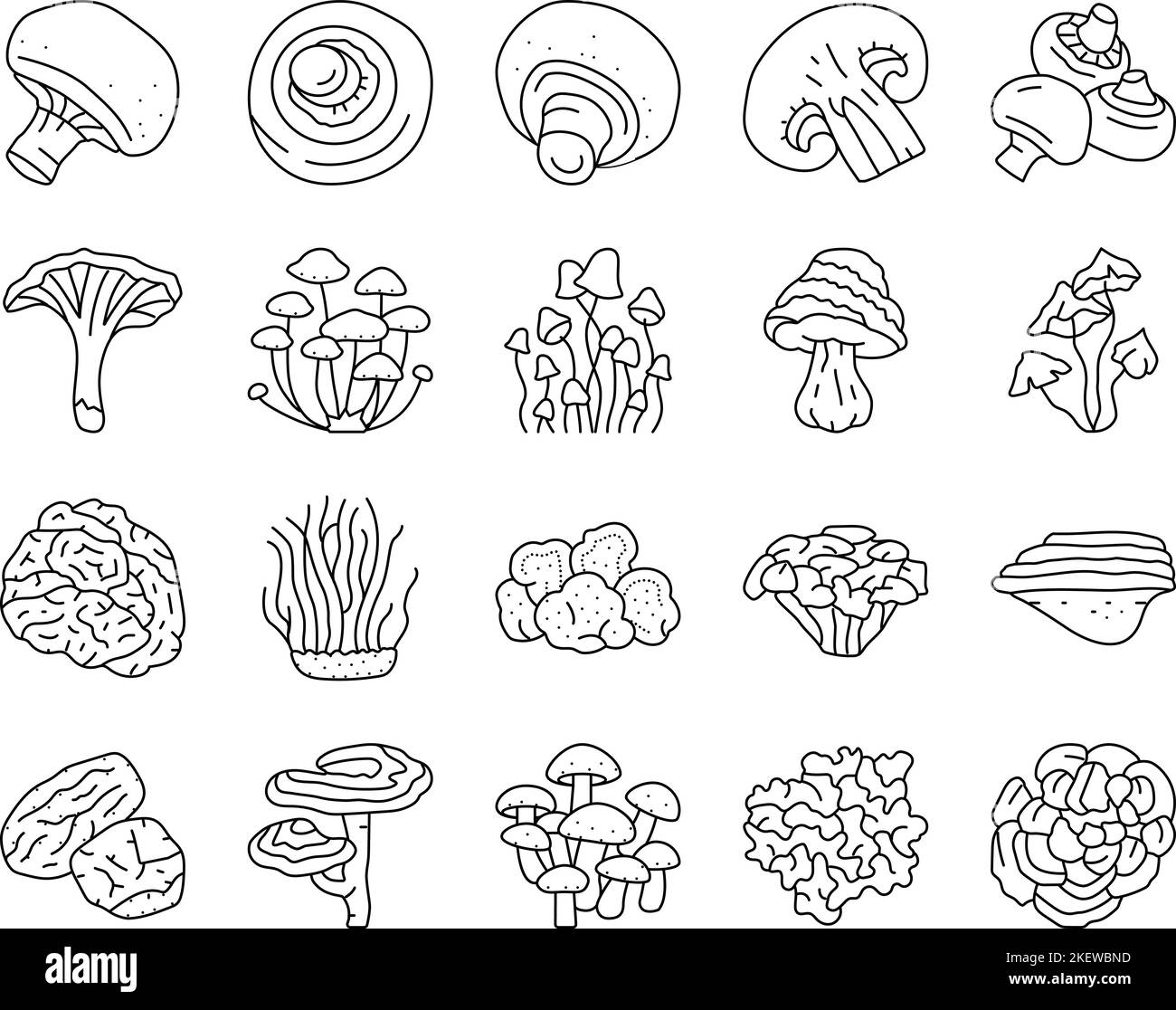 mushroom food forest fungi icons set vector Stock Vector Image & Art ...