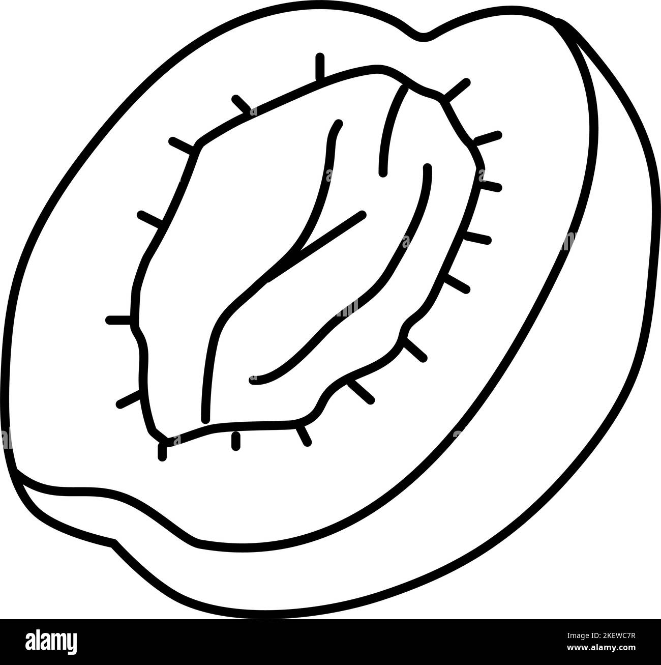 Cute watercolor fruit Black and White Stock Photos & Images - Alamy