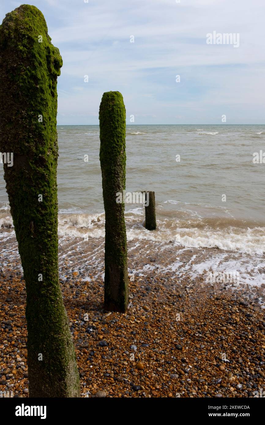 Wooden sea defences (breakwaters or groynes) with small wave, on the ...