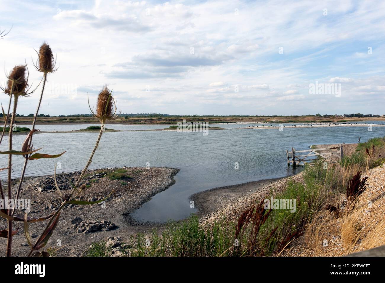 Inland saltwater pools at Rye Harbour Nature Reserve, Rye, Sussex Stock ...