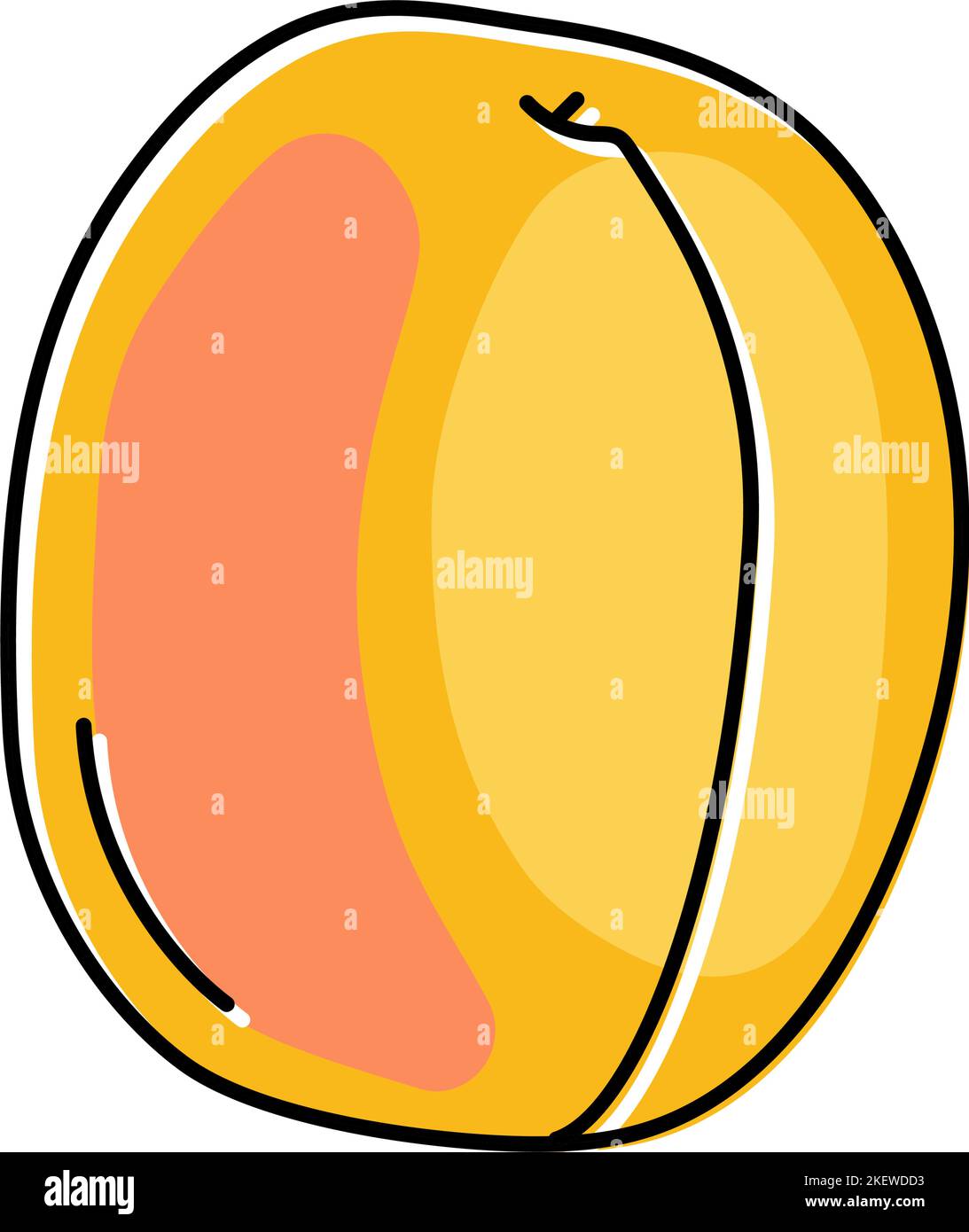 apricot ripe fruit color icon vector illustration Stock Vector Image ...