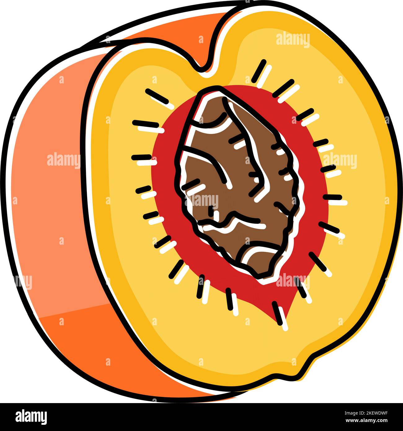 ripe peach cut pit color icon vector illustration Stock Vector Image ...