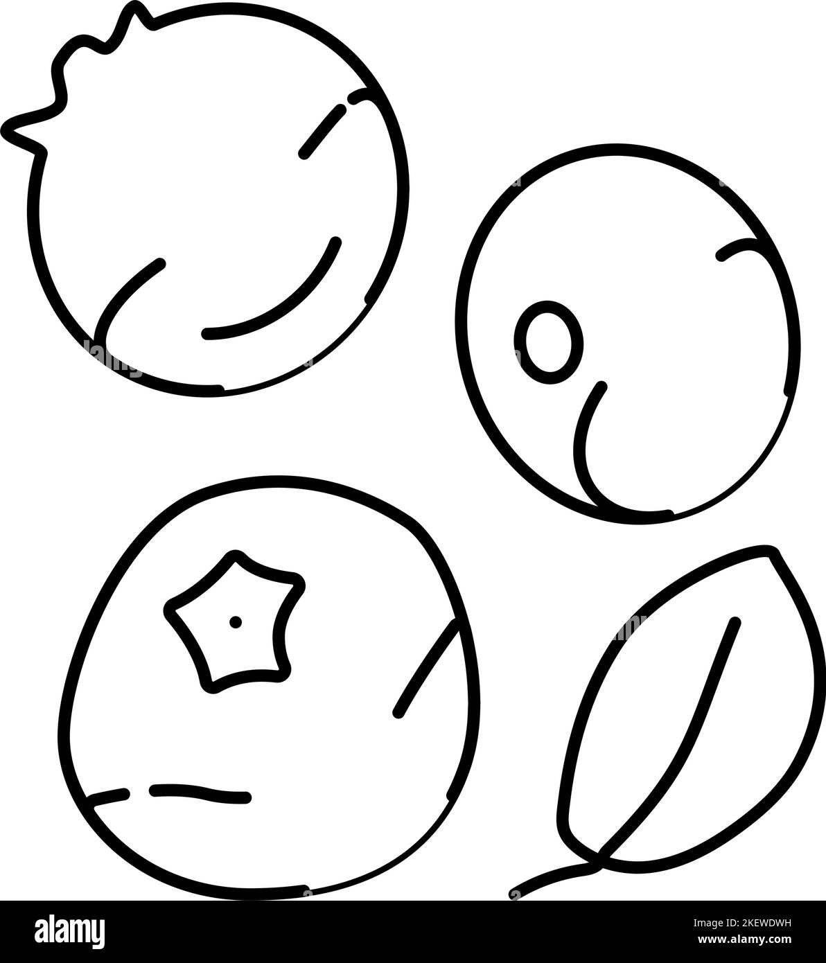 blue blueberry berry line icon vector illustration Stock Vector Image ...