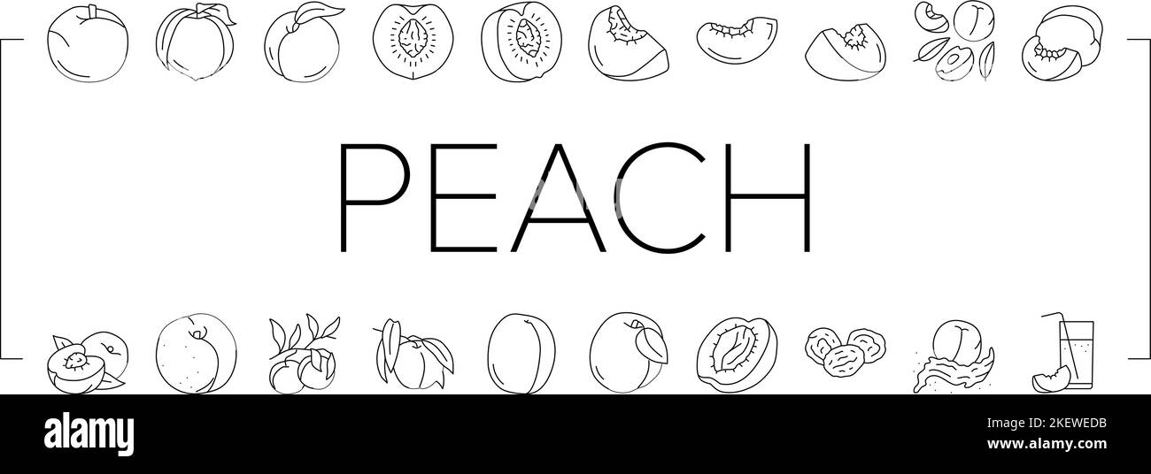 peach fruit nectarine juicy icons set vector Stock Vector Image & Art ...
