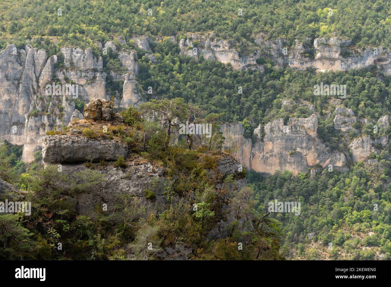 Gorges du Tarn in Cevennes National Park. Le Rozier, massif central ...