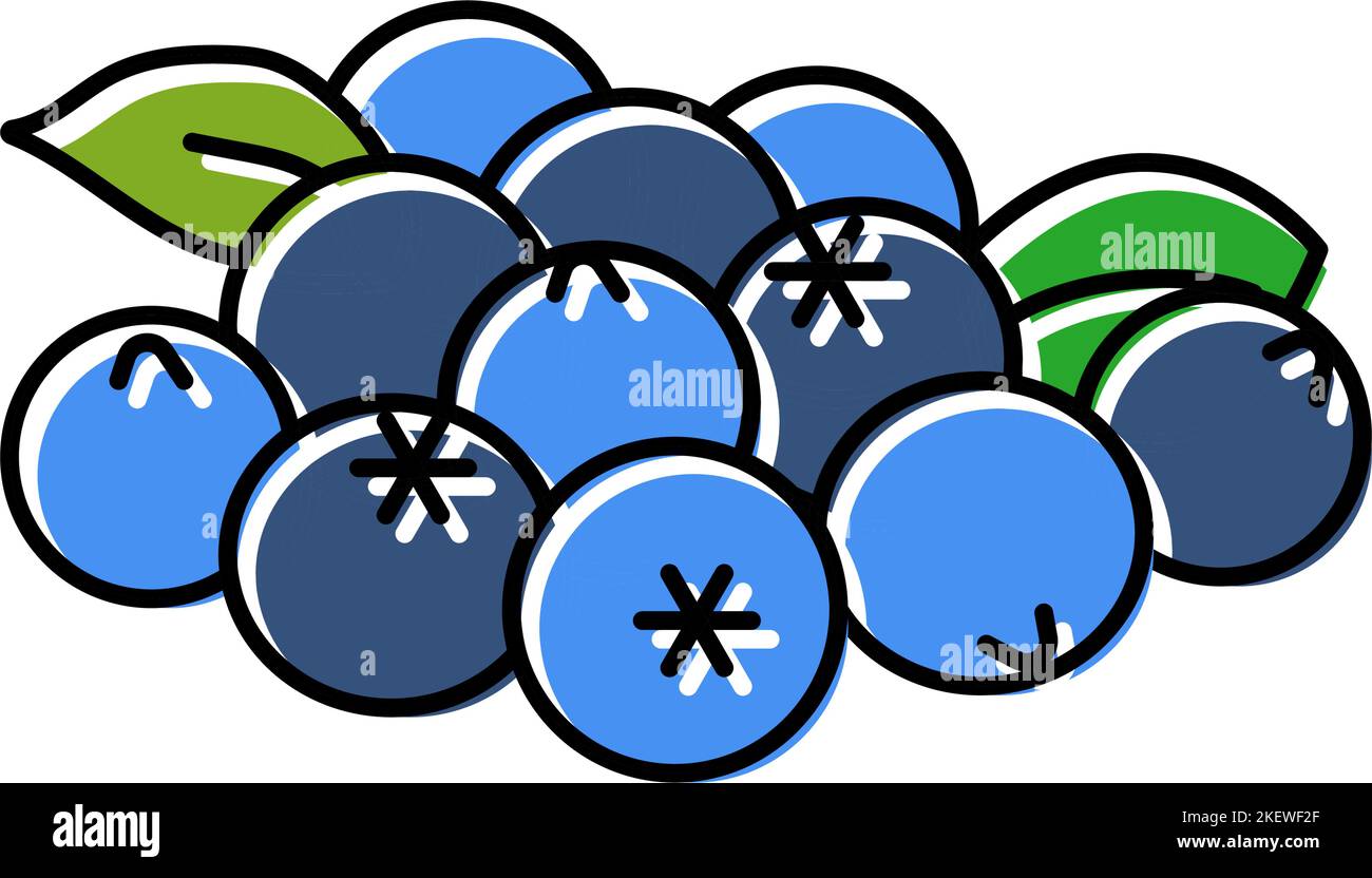 bunch of blueberries leaf color icon vector illustration Stock Vector ...