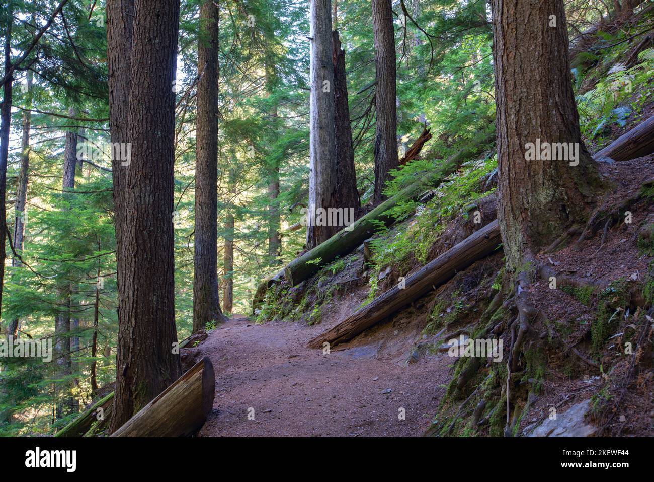 Pulaski tunnel hi-res stock photography and images - Alamy