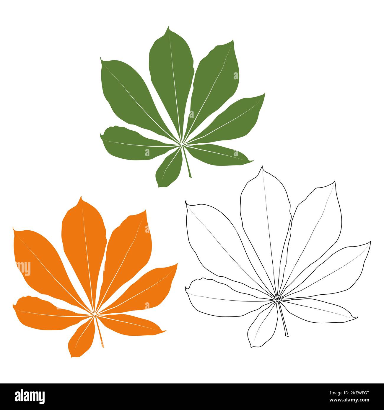 Set of vector chestnut leaf outline and coloured icon. Simple chestnut ...