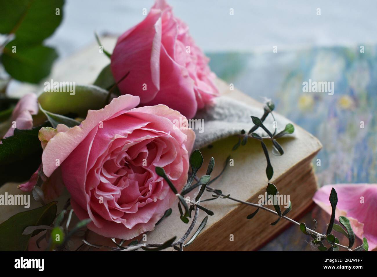 Arrangingflowers hi-res stock photography and images - Alamy