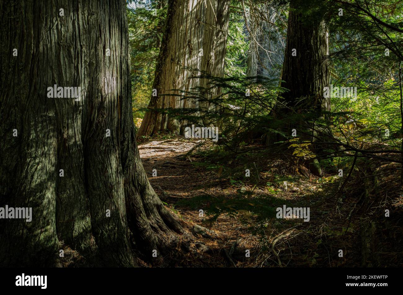 1000 foot diameter hi-res stock photography and images - Alamy