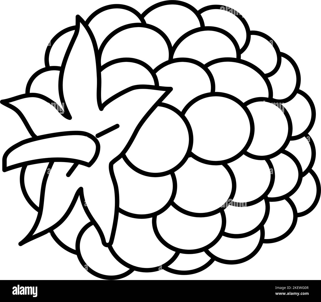 Blackberries Outline