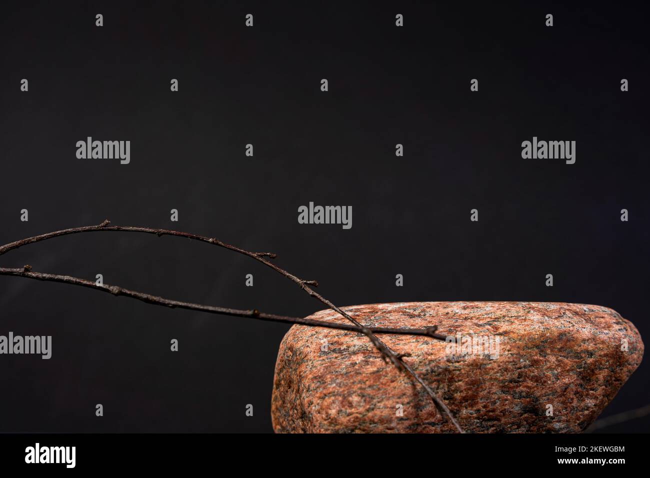 Mock up cosmetics stands hi-res stock photography and images - Alamy