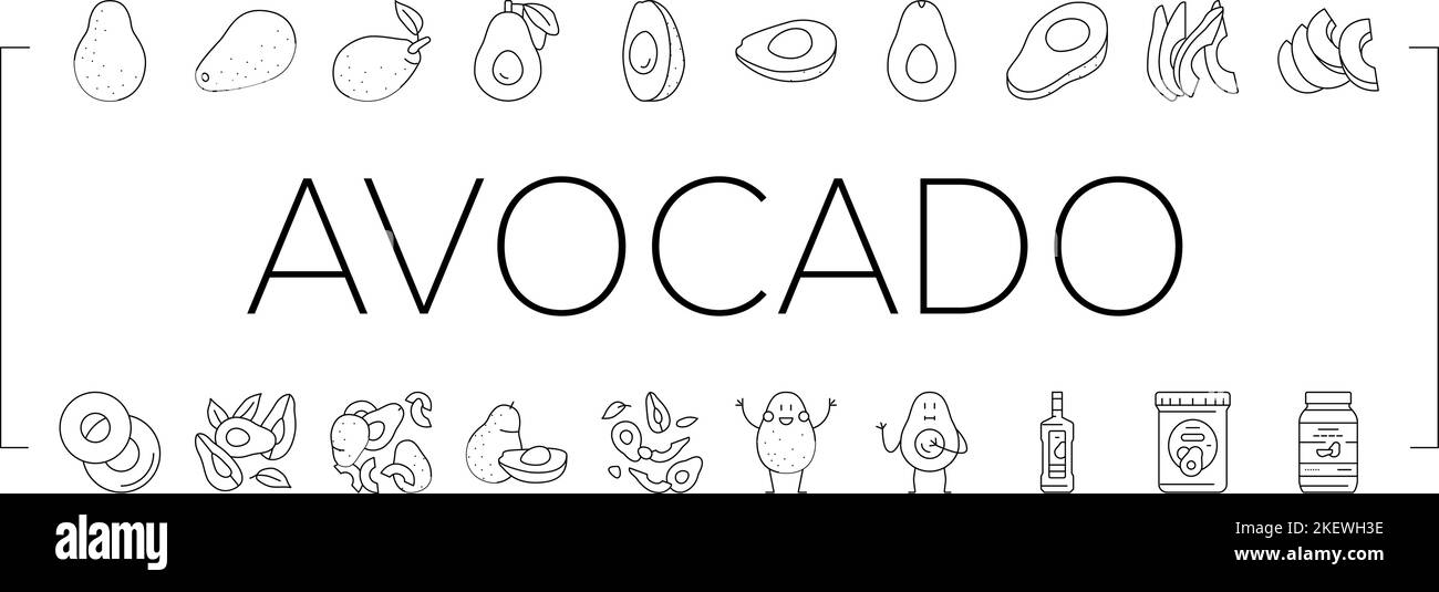 avocado food green half icons set vector Stock Vector Image & Art - Alamy