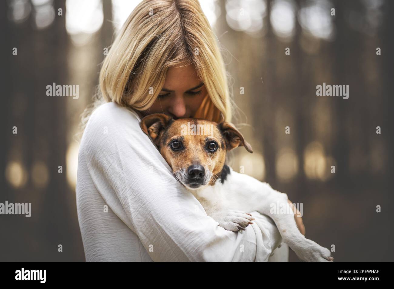 female Jack Russell Terrier Stock Photo - Alamy