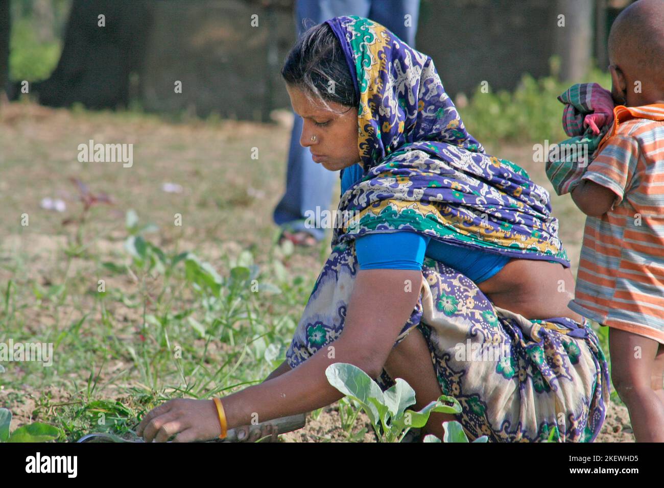 A rural female farmer working at a agriculture field with her child ...