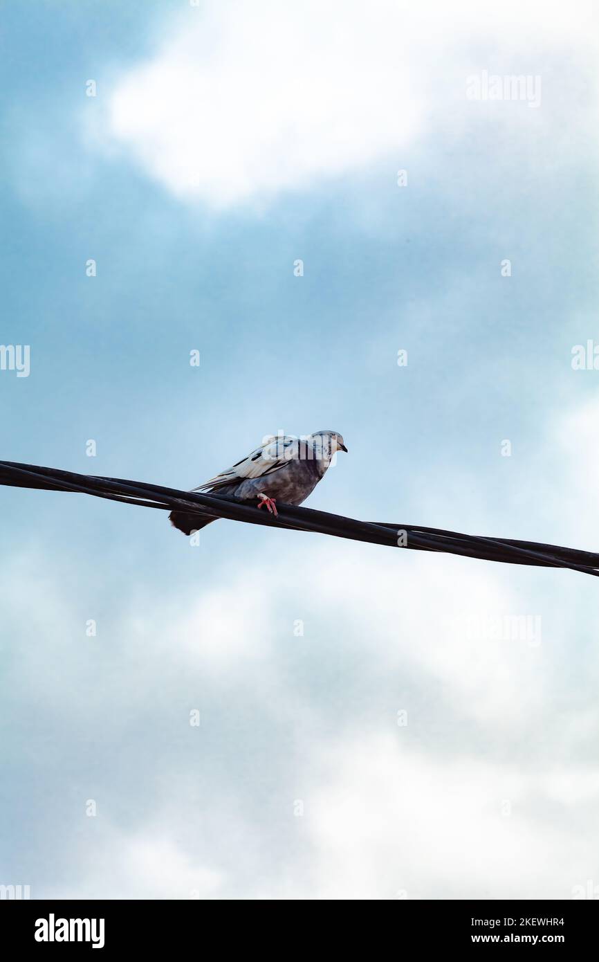 Low angle view sky hi-res stock photography and images - Alamy