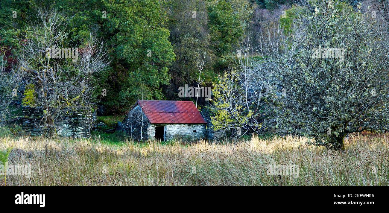 Ruined cottage part of the ghost village of Rhiwddolion photograph of ...