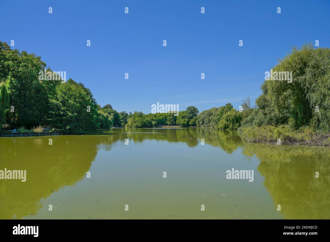 Obersee, Bezirk Weißensee, Pankow, Berlin, Deutschland Stock Photo - Alamy