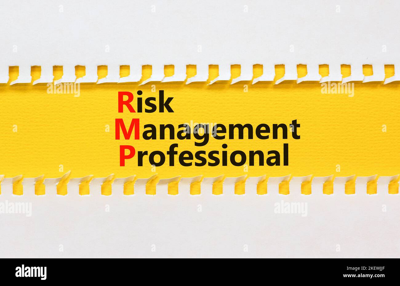 RMP risk management professional symbol. Concept words RMP risk ...
