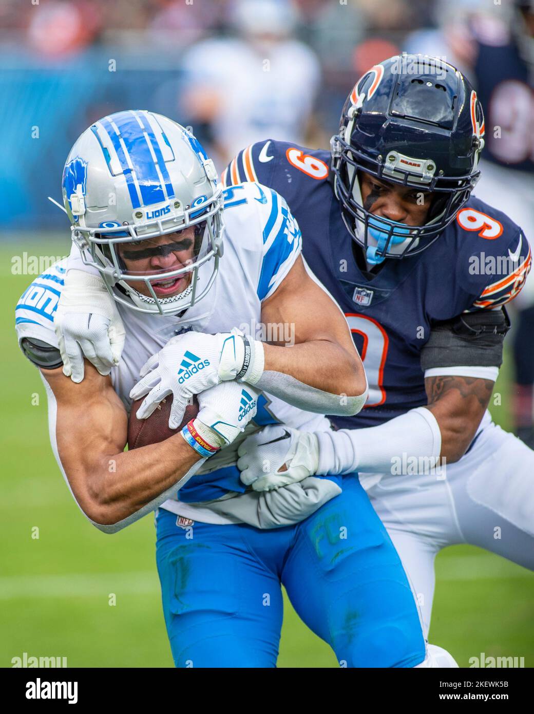 Amon ra st brown lions hi-res stock photography and images - Alamy