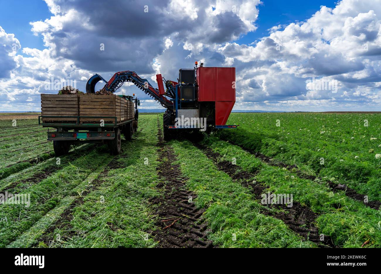 Modern Agricultural Technology
