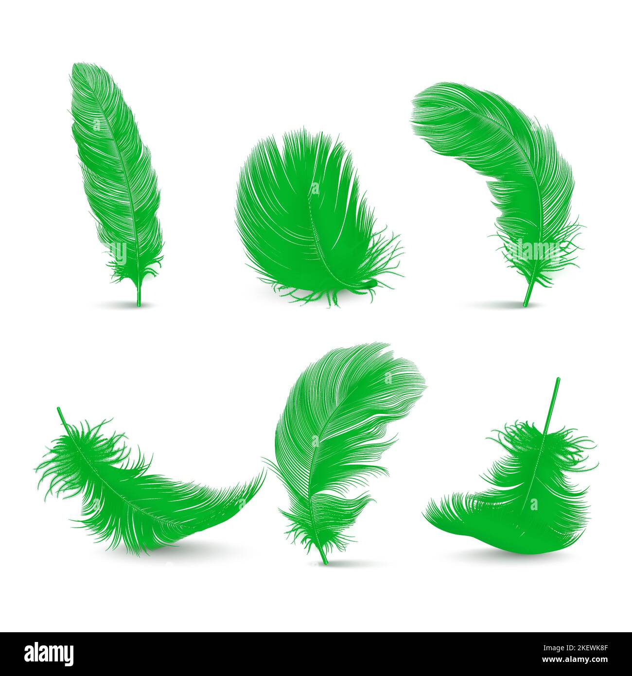 Vector 3d Realistic Green Fluffy Feather Set Isolated on White ...