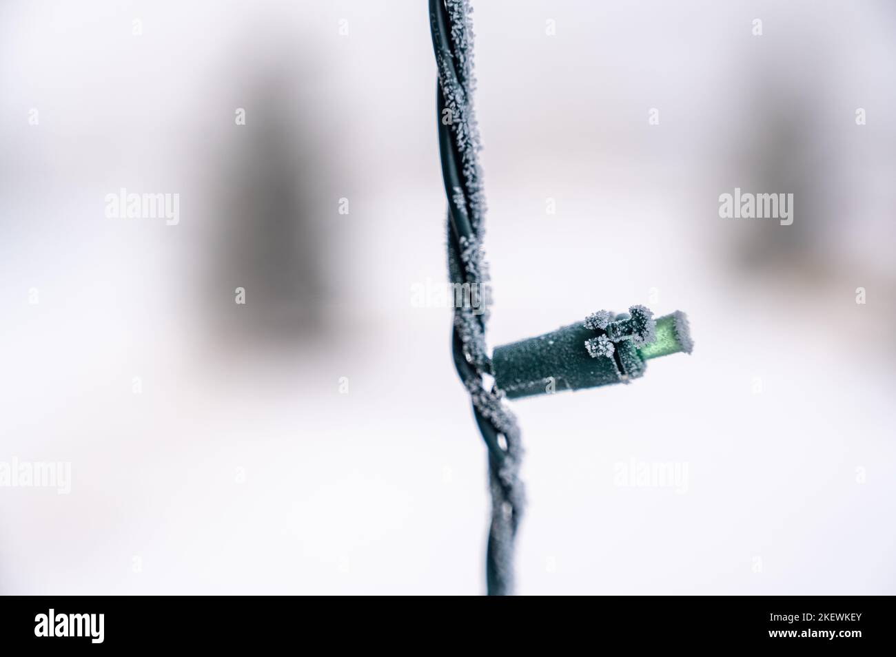 Single LED Christmas light outdoors covered with early morning frost ...