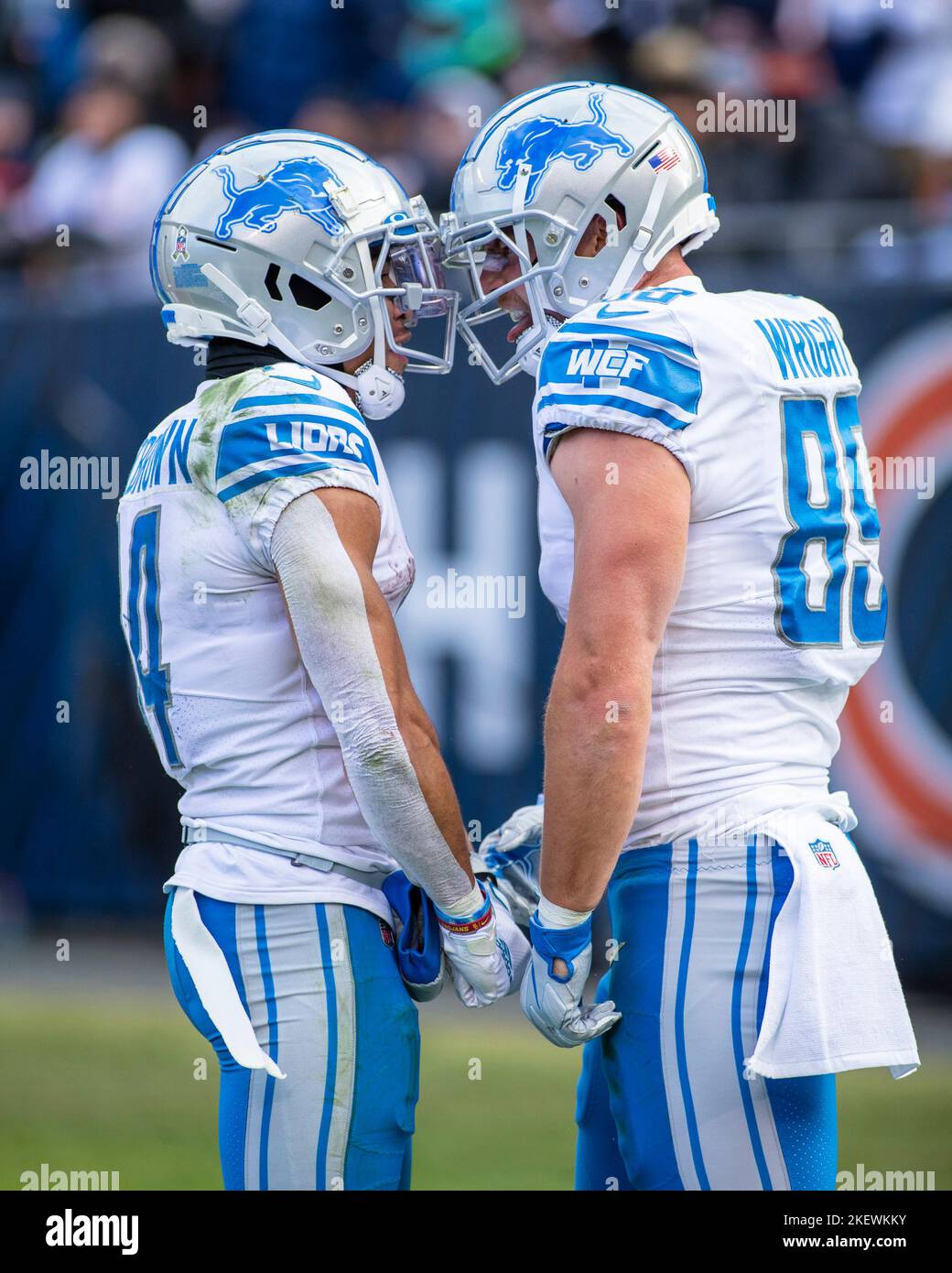 November 13, 2022: Detroit Lions #89 Brock Wright (right) celebrates ...