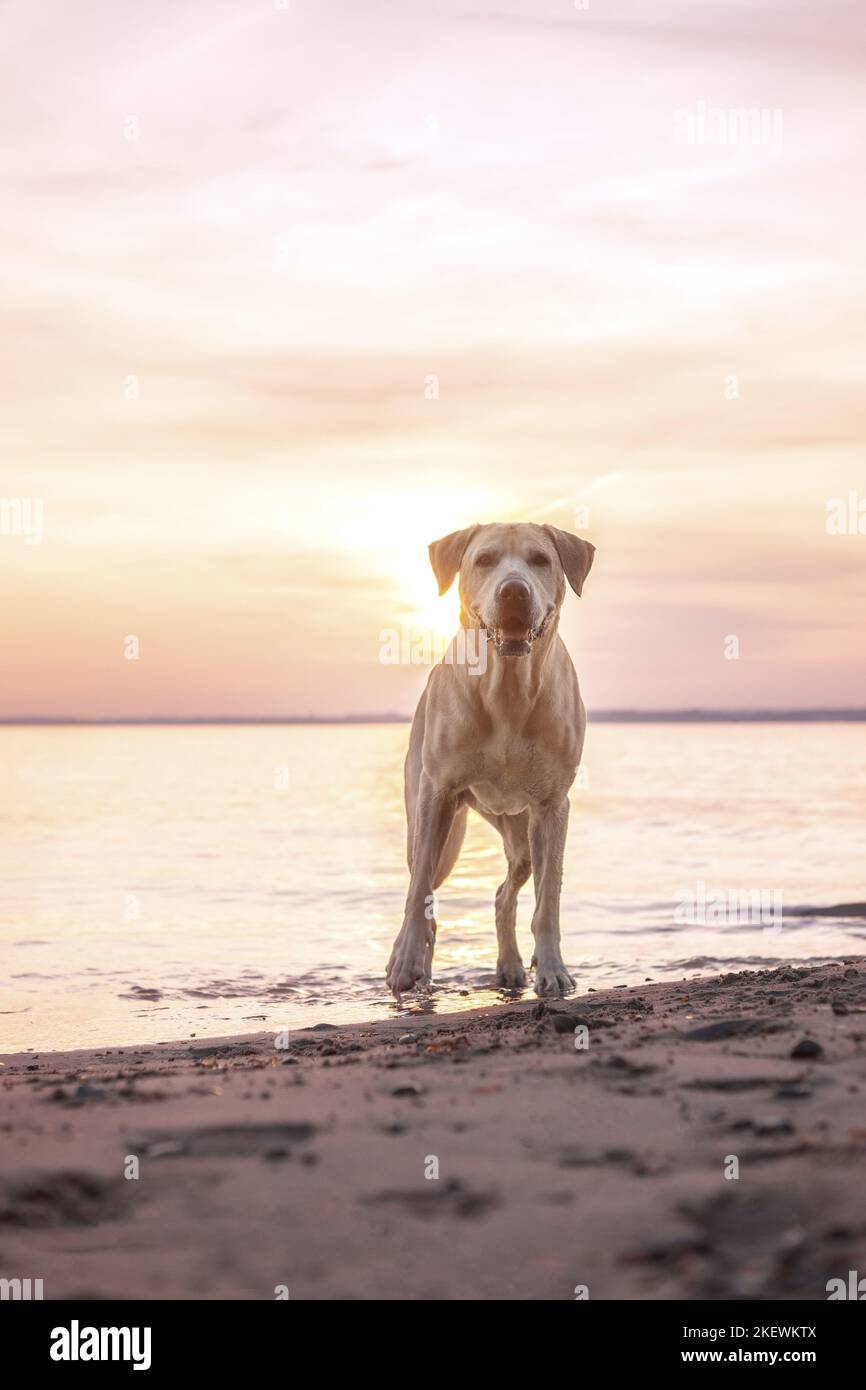 Vacay sunset hi-res stock photography and images - Alamy