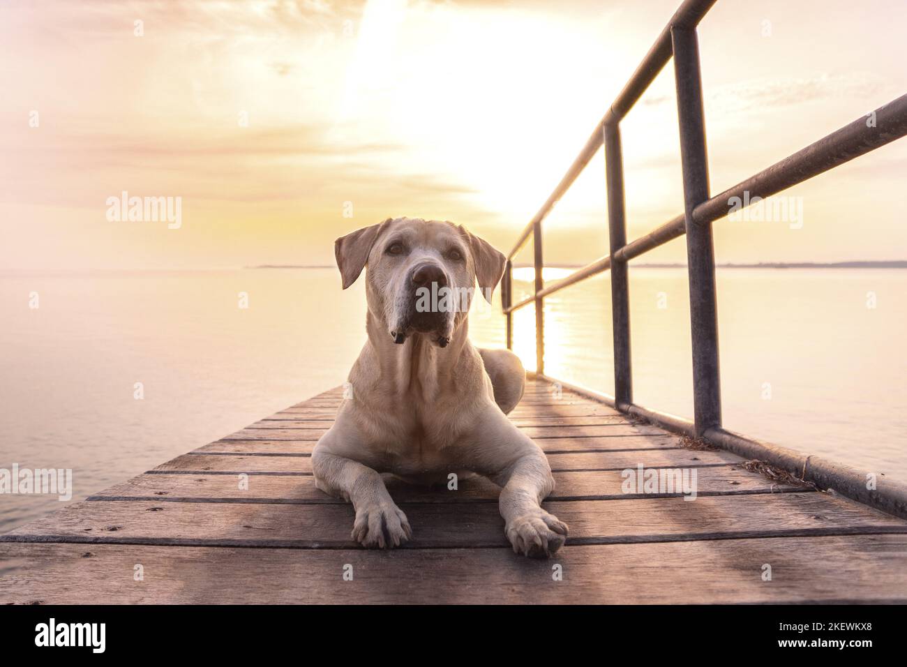 Vacay sunset hi-res stock photography and images - Alamy